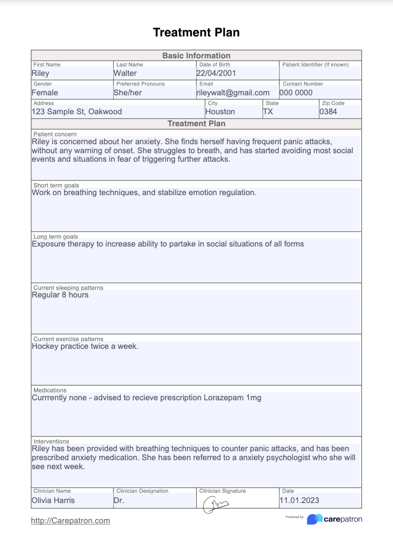 Treatment Plan Template Example Free PDF Download